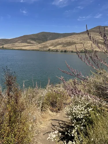 Best Hikes and Trails in Lake Skinner Recreation Area | AllTrails