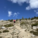 Trapper Peak Trail, Montana - 303 Reviews, Map | AllTrails