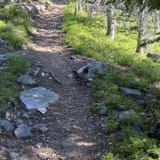 Trapper Peak Trail, Montana - 303 Reviews, Map | AllTrails