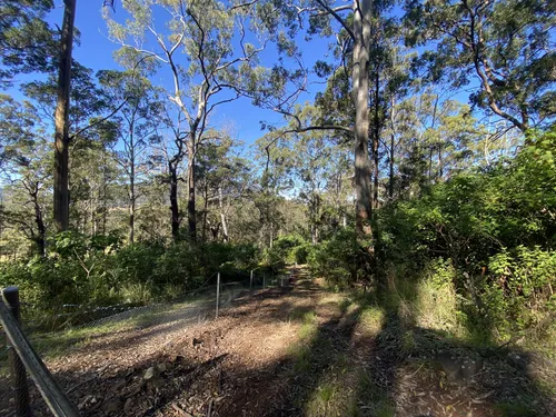 10 Best Hikes and Trails in Border Ranges National Park | AllTrails