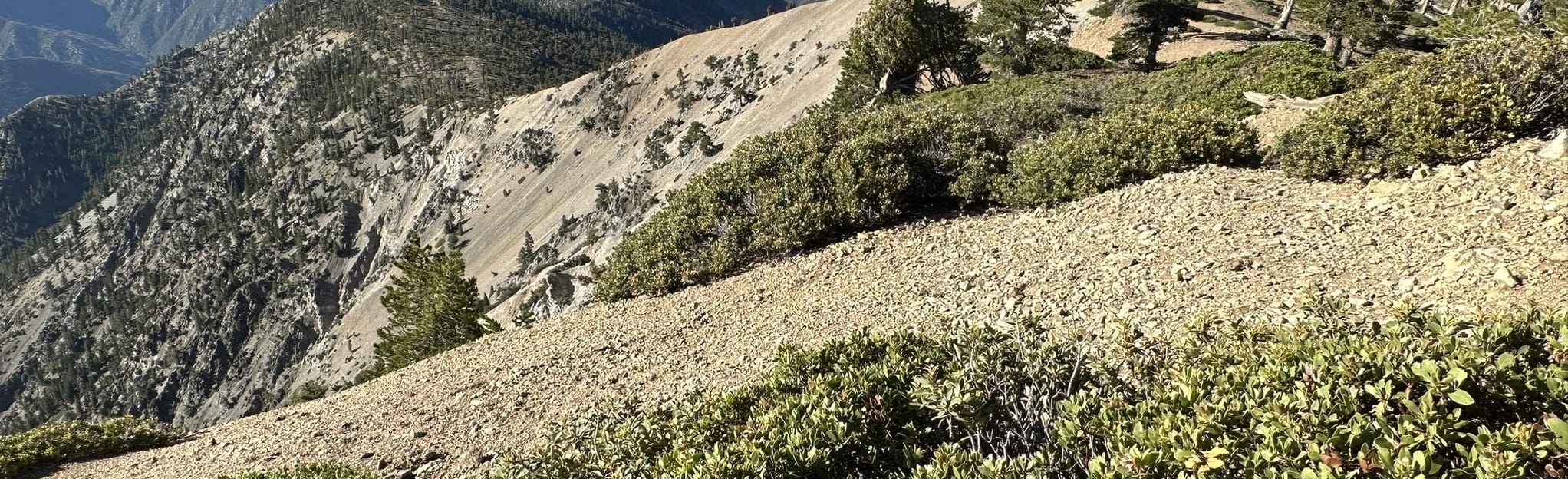 Angeles Crest Loop, California - 17 Reviews, Map | AllTrails