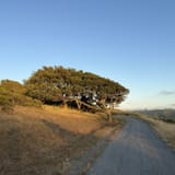 Nimitz Way, California - 1,617 Reviews, Map | AllTrails