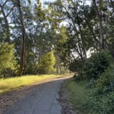 Nimitz Way, California - 1,617 Reviews, Map | AllTrails