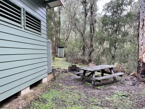 Best Hikes and Trails in Bondo State Forest | AllTrails