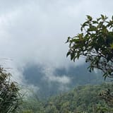 Mount Nuang via Janda Baik, Pahang, Malaysia - 104 Reviews, Map | AllTrails