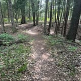 North Country Trail and Fife Lake Loop, Michigan - 384 Reviews, Map ...