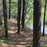 North Country Trail and Fife Lake Loop, Michigan - 384 Reviews, Map ...