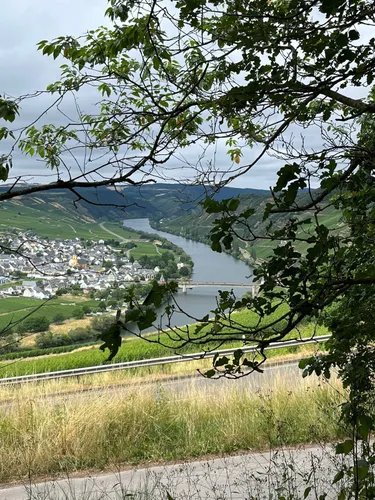 2023 Best Camping Trails in Trittenheim | AllTrails