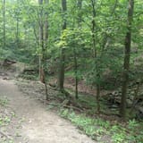 Schenley Park Double Loop, Pennsylvania - 768 Reviews, Map | AllTrails