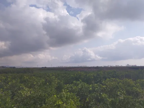 Best Hikes and Trails in Marjar de la Safor | AllTrails