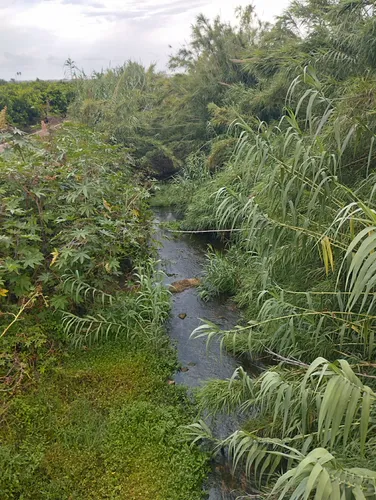 Best Hikes and Trails in Marjar de la Safor | AllTrails