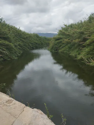 Best Hikes and Trails in Marjar de la Safor | AllTrails