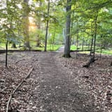 Hal and Berni Hanson Park Loop, Virginia - 104 Reviews, Map | AllTrails