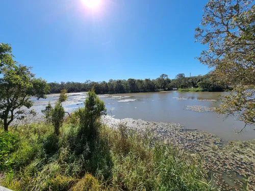 Best Hikes and Trails in Berrinba Wetlands | AllTrails