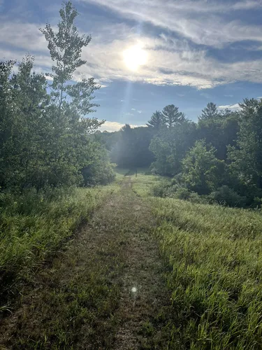 Best Hikes and Trails in Wild River State Park | AllTrails