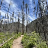 Morrell Falls National Recreation Trail, Montana - 507 Reviews, Map ...
