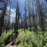 Morrell Falls National Recreation Trail, Montana - 507 Reviews, Map ...