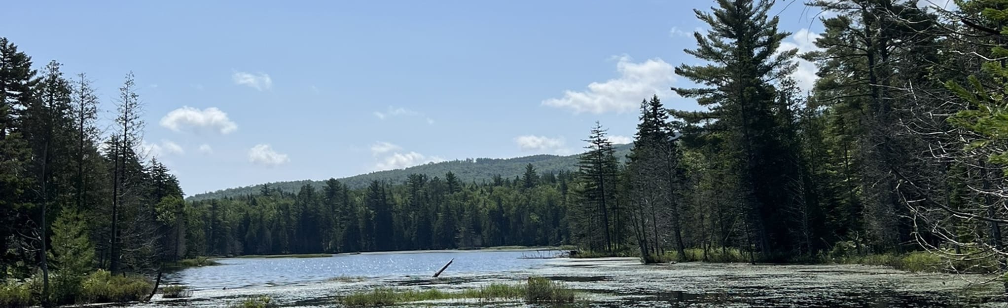 Moose Pond Loop: 100 Reviews, Map - Maine | AllTrails