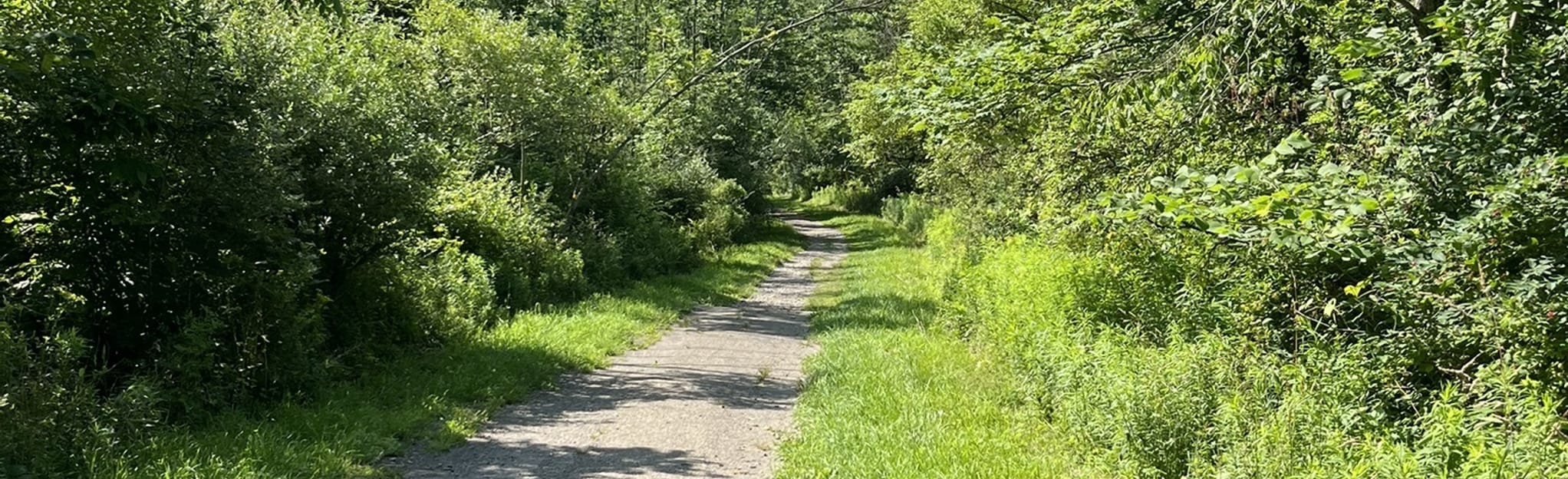 Maple, Hemlock, and Wildflower Lane Trail Loop: 194 Reviews, Map - New ...