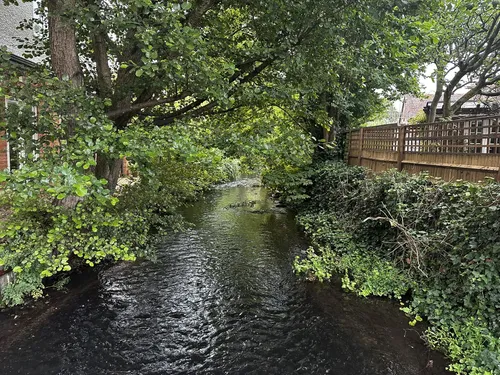 10 Best Walking Trails in Shere | AllTrails