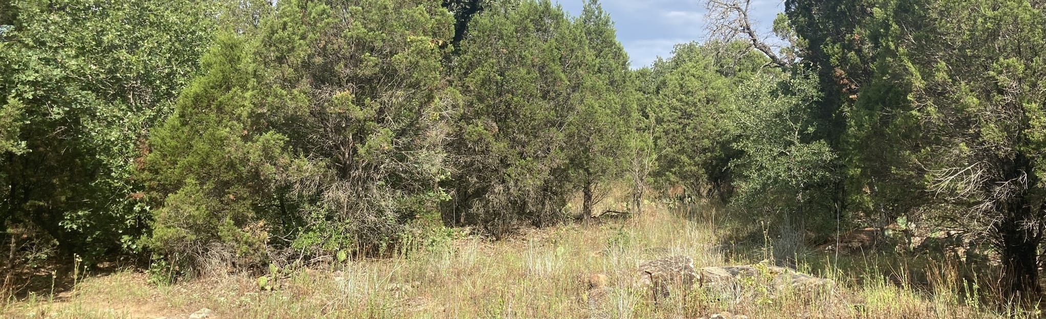 Texas Frontier Western Heritage Trails, Texas - 62 Reviews, Map | AllTrails