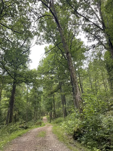 Best Lake Trails in Rya Åsar Nature Reserve | AllTrails