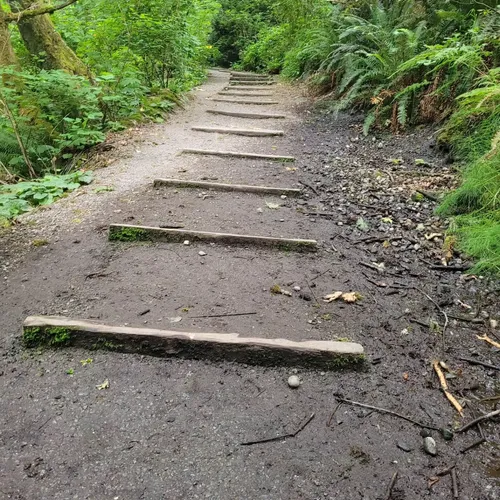 Best Hikes and Trails in Lakeridge Park | AllTrails