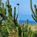 Long Beach Boardwalk and Discovery Trail Loop, Washington - 118 Reviews ...