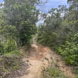 Pico Rodadero Trail: 137 fotos - South Region, Puerto Rico | AllTrails