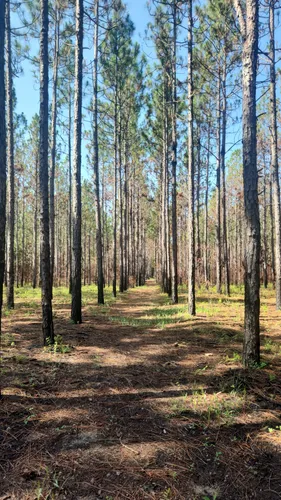 Best Hikes and Trails in Audubon's Silver Bluff Center and Sanctuary ...