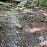 Sunset Rocks Trail, Pennsylvania - 859 Reviews, Map | AllTrails