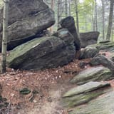 Sunset Rocks Trail, Pennsylvania - 884 Reviews, Map | AllTrails