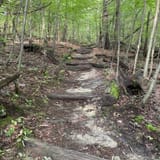 Sunset Rocks Trail, Pennsylvania - 898 Reviews, Map | AllTrails