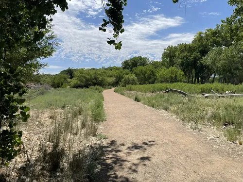 Best Hikes and Trails in Rio Rancho | AllTrails