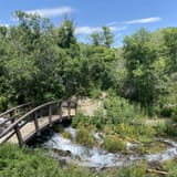 Cascade Springs Interpretive Trail, Utah - 432 Reviews, Map | AllTrails