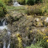 Cascade Springs Interpretive Trail, Utah - 432 Reviews, Map | AllTrails