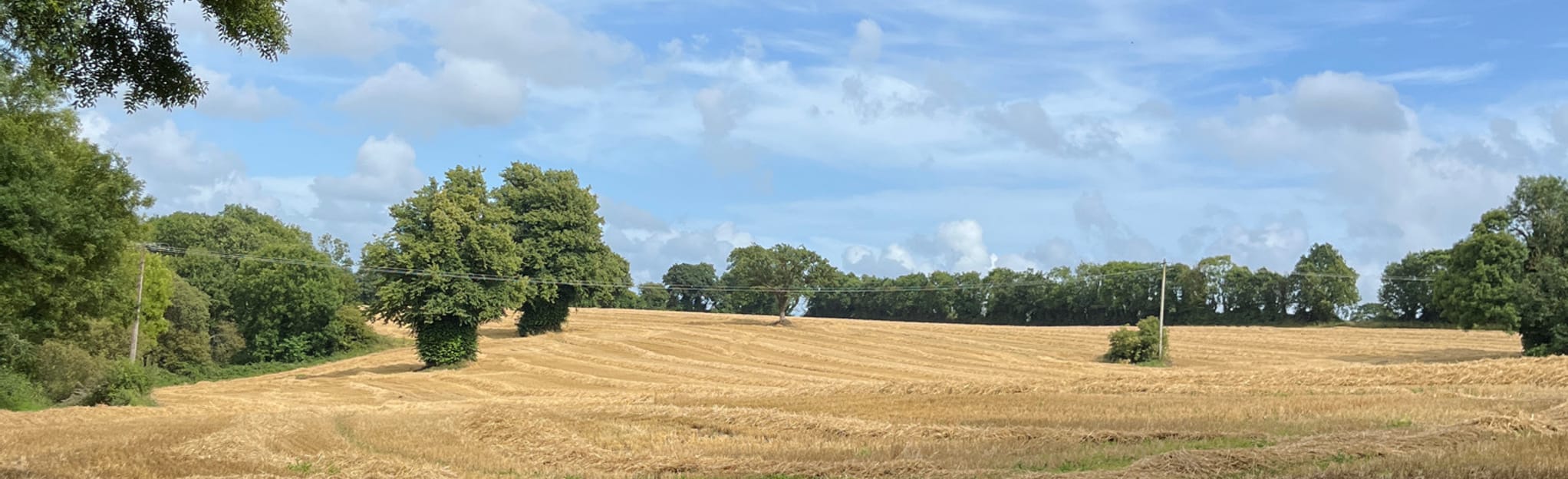 Lismore Town and Blackwater River Circular: 3 Reviews, Map - County ...