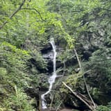 Jones Run Falls Trail, Virginia - 766 Reviews, Map | AllTrails