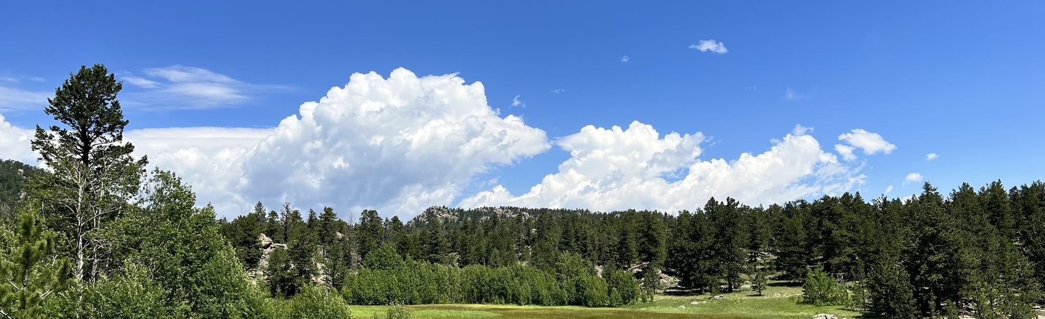 Homestead Meadows to Irvin Homestead, Colorado - 262 Reviews, Map ...