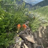 Provo Peak from Slate Canyon, Utah - 65 Reviews, Map | AllTrails