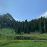 Tipsoo Lake Loop, Washington - 334 Reviews, Map | AllTrails