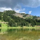 Tipsoo Lake Loop, Washington - 334 Reviews, Map | AllTrails