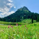 Tipsoo Lake Loop, Washington - 334 Reviews, Map | AllTrails