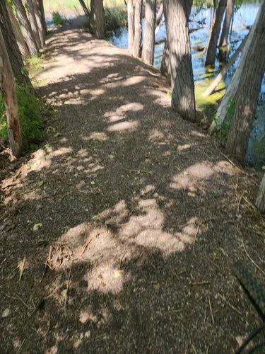 Best Hikes and Trails in Barr Lake State Park | AllTrails