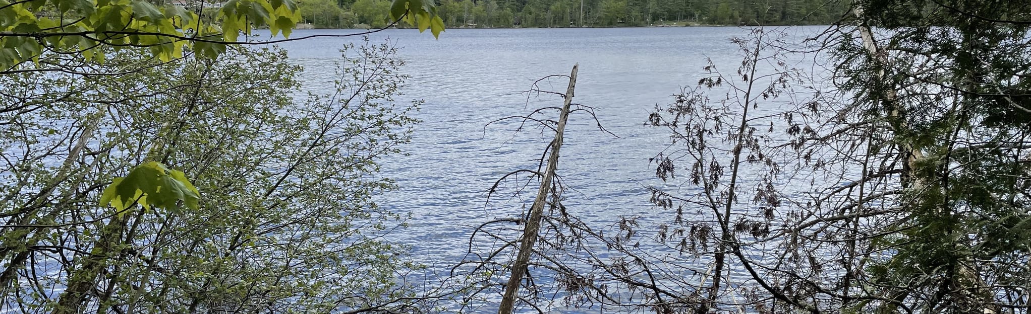 Long Pond Trail, New York - 20 Reviews, Map | AllTrails