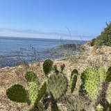 Terranea Discovery Trail, California - 1,223 Reviews, Map | AllTrails