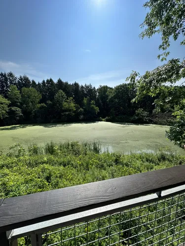 Best Hikes and Trails in F.A. Seiberling Nature Realm | AllTrails