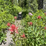 Whits Lakes Spring, Montana - 142 Reviews, Map | AllTrails