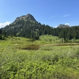 Tipsoo Lake Loop, Washington - 334 Reviews, Map | AllTrails