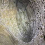 Patton Cave Loop Via Grubb Ridge, Indiana - 273 Reviews, Map | AllTrails